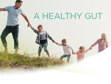 Supporting your gut health