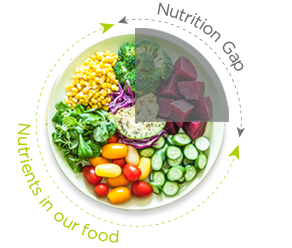 Nutrition Gap Practitioner
